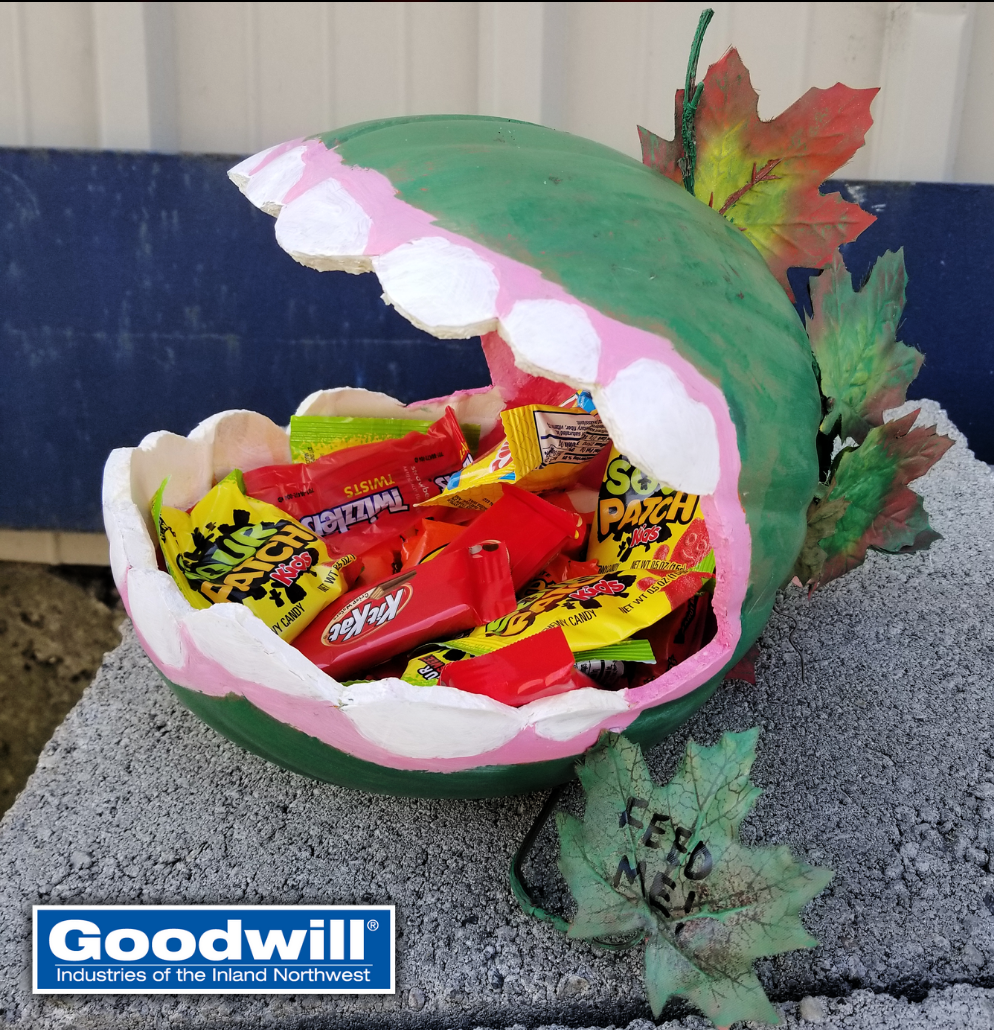 Create a safe and affordable Halloween this year - Goodwill